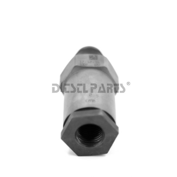 bosch common rail high pressure relief valve 1110010020 Hydraulic ...